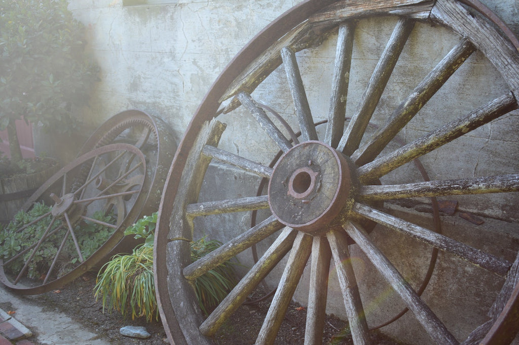 The Sunwheel Ritual: A Symbolic Viking Celebration – Viking Merchant